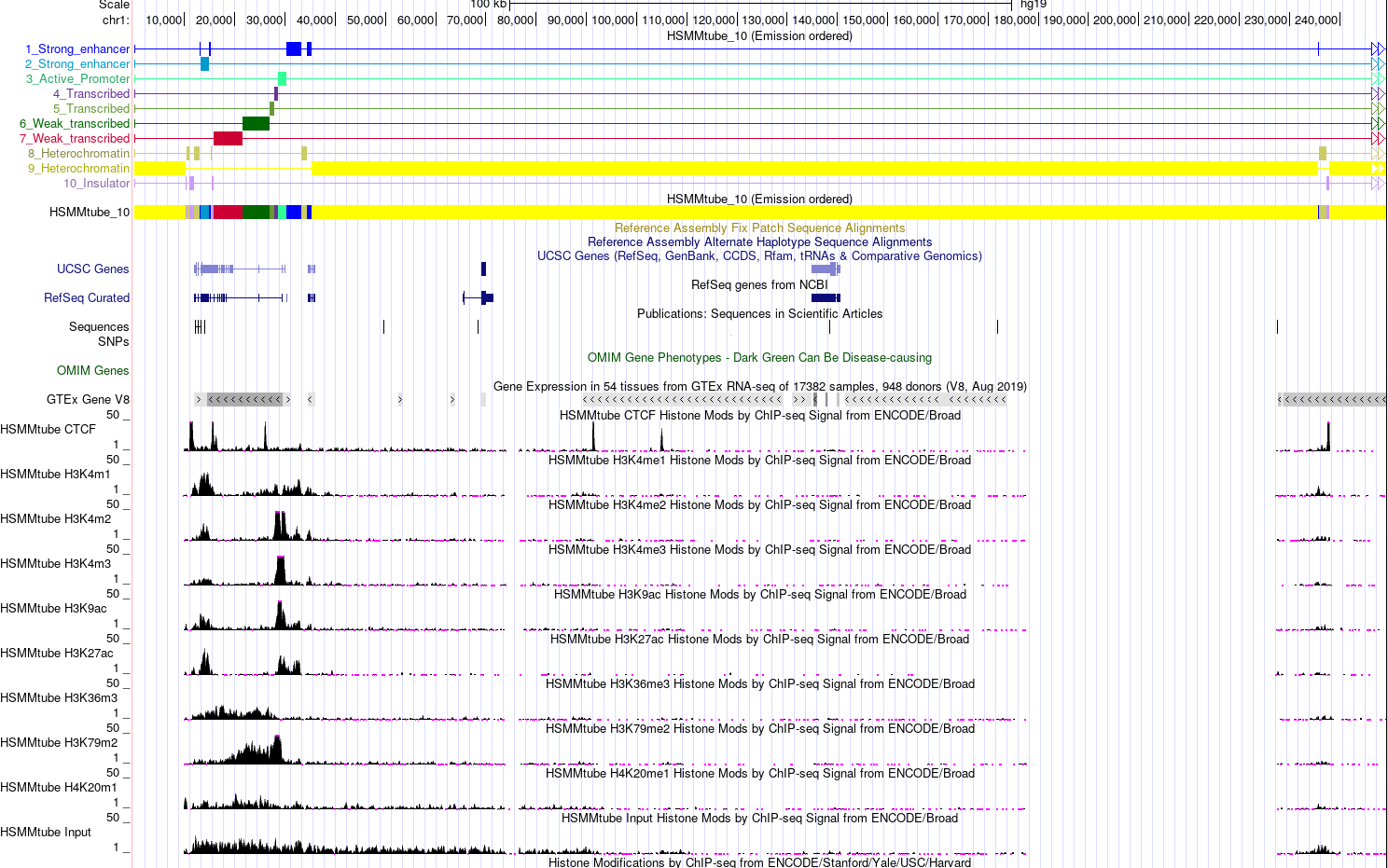 GitHub - SpryGorgon/hse_hw3_chromhmm