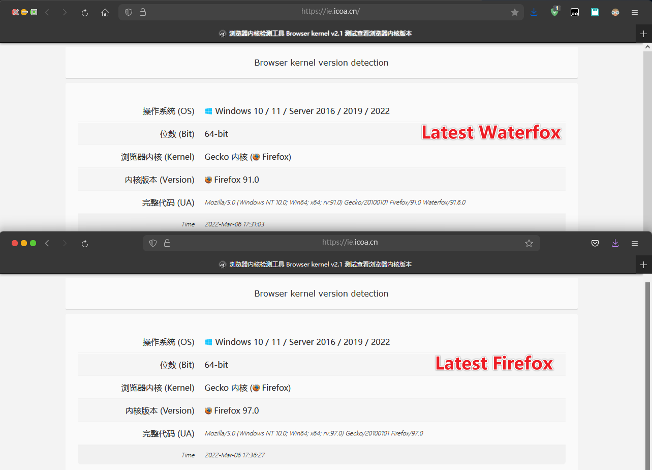 Waterfox display wrong close buttons and right menu style on Windows [BUG] · Issue #62 ...