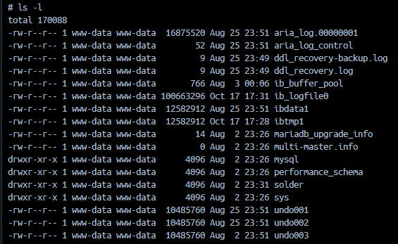 Docker Solder database is corrupted at startup · Issue #717 · TechnicPack/TechnicSolder · GitHub