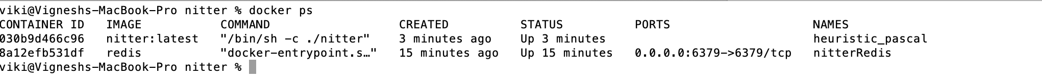 Not able to access the Nitter. Deployed in Docker Locally. · Issue #989 · zedeus/nitter · GitHub