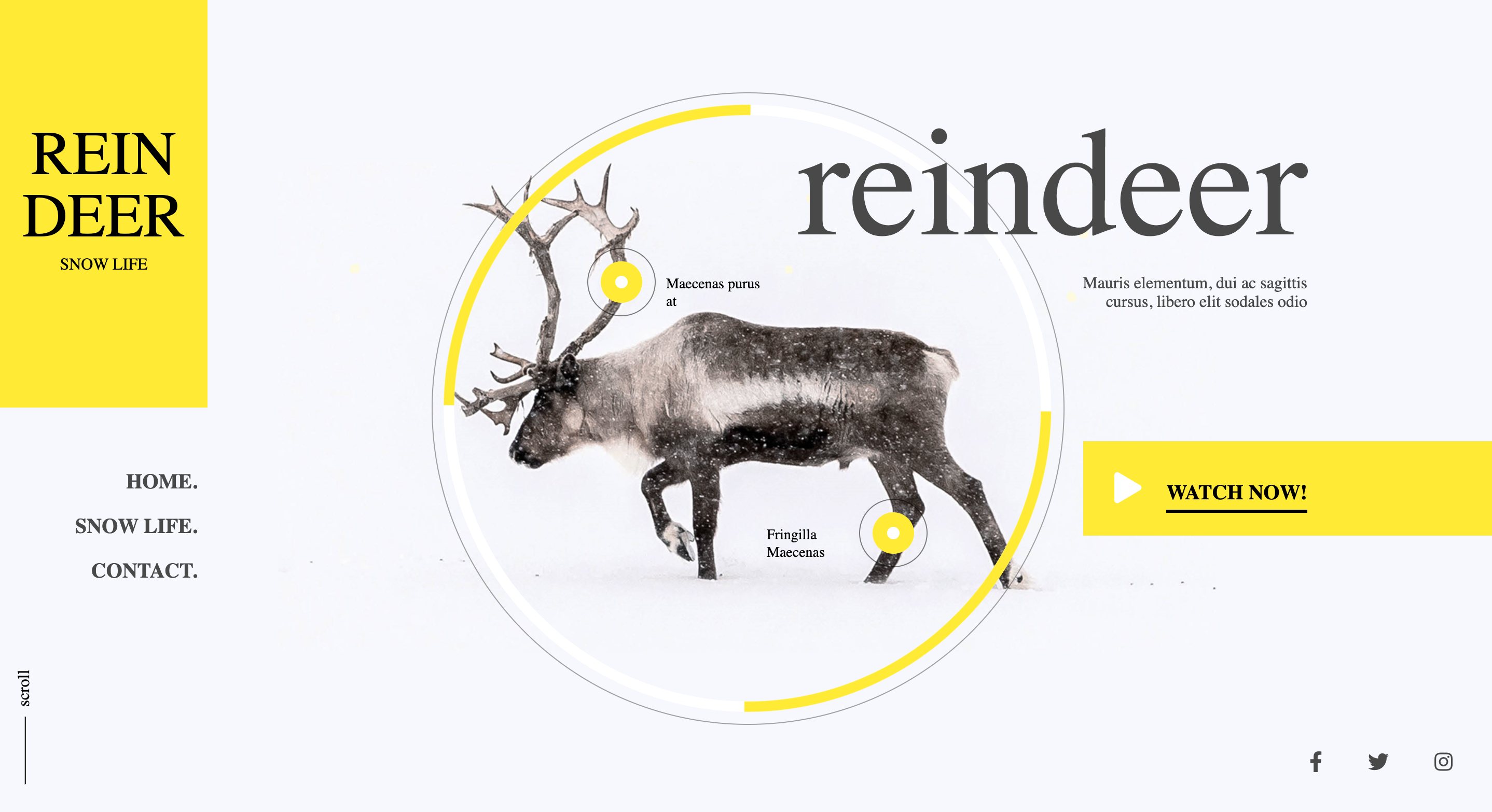 GitHub - Amberchen8892/Reindeer: Frontend series with GSAP