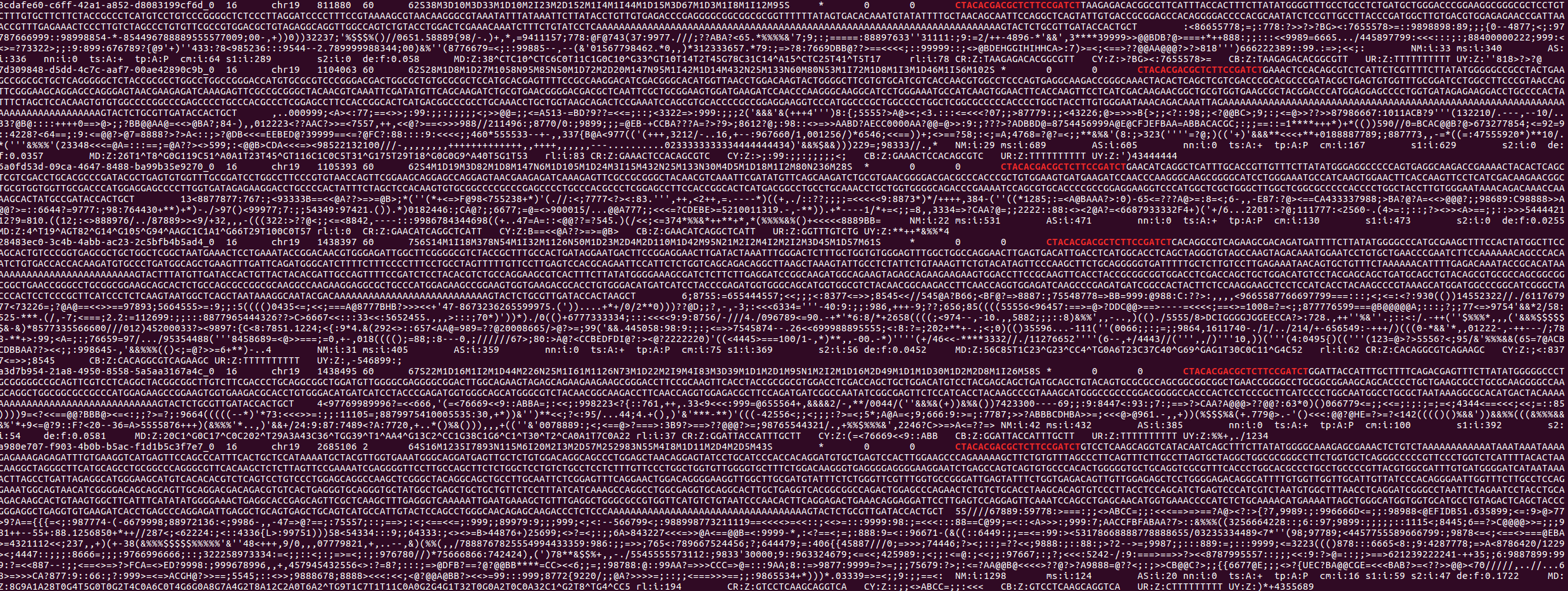 Bug Misunderstanding Output · Issue 12 · Epi2me Labswf Single Cell · Github
