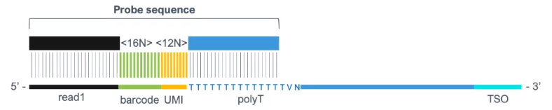 [Bug]: misunderstanding output · Issue #12 · epi2me-labs/wf-single-cell · GitHub