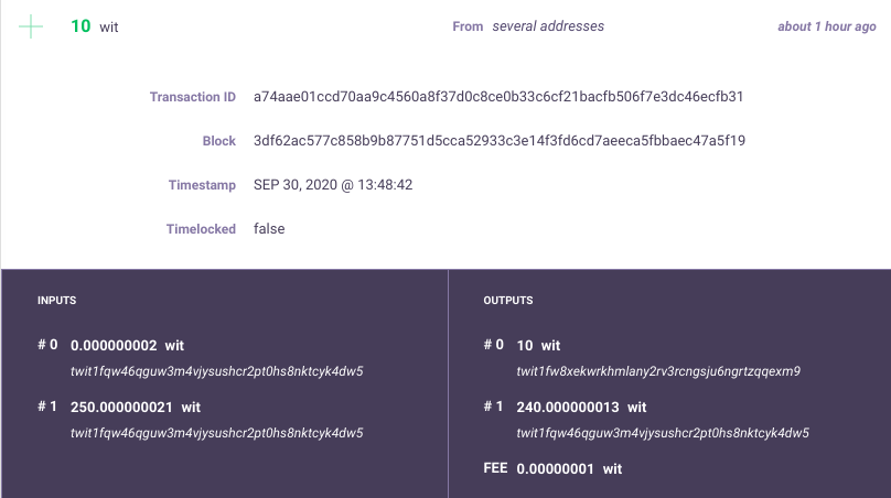 Wrong several addresses tx · Issue #1397 · witnet/sheikah · GitHub