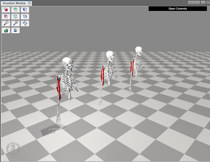 Ensure All Models Are Shown Above The Floor When Loaded · Issue 56 · Opensim Org Opensim Models