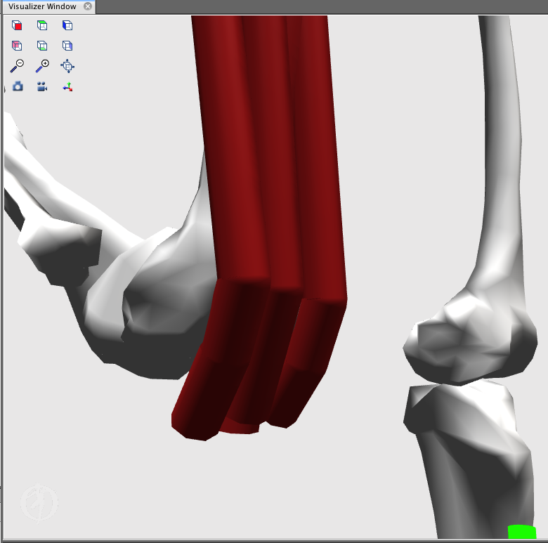 {Tutorial 1} No Muscle Points in model · Issue #757 · opensim-org/opensim-gui · GitHub