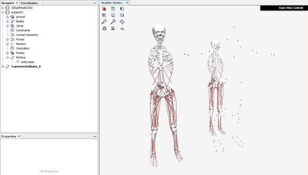 Unexplained offset between experimental data and model motion · Issue #538 · opensim-org/opensim ...