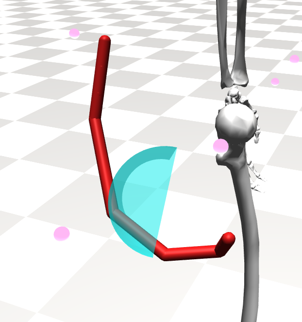 Wrap geometry quadrant display and muscle path around wrap object display unexpected · Issue ...