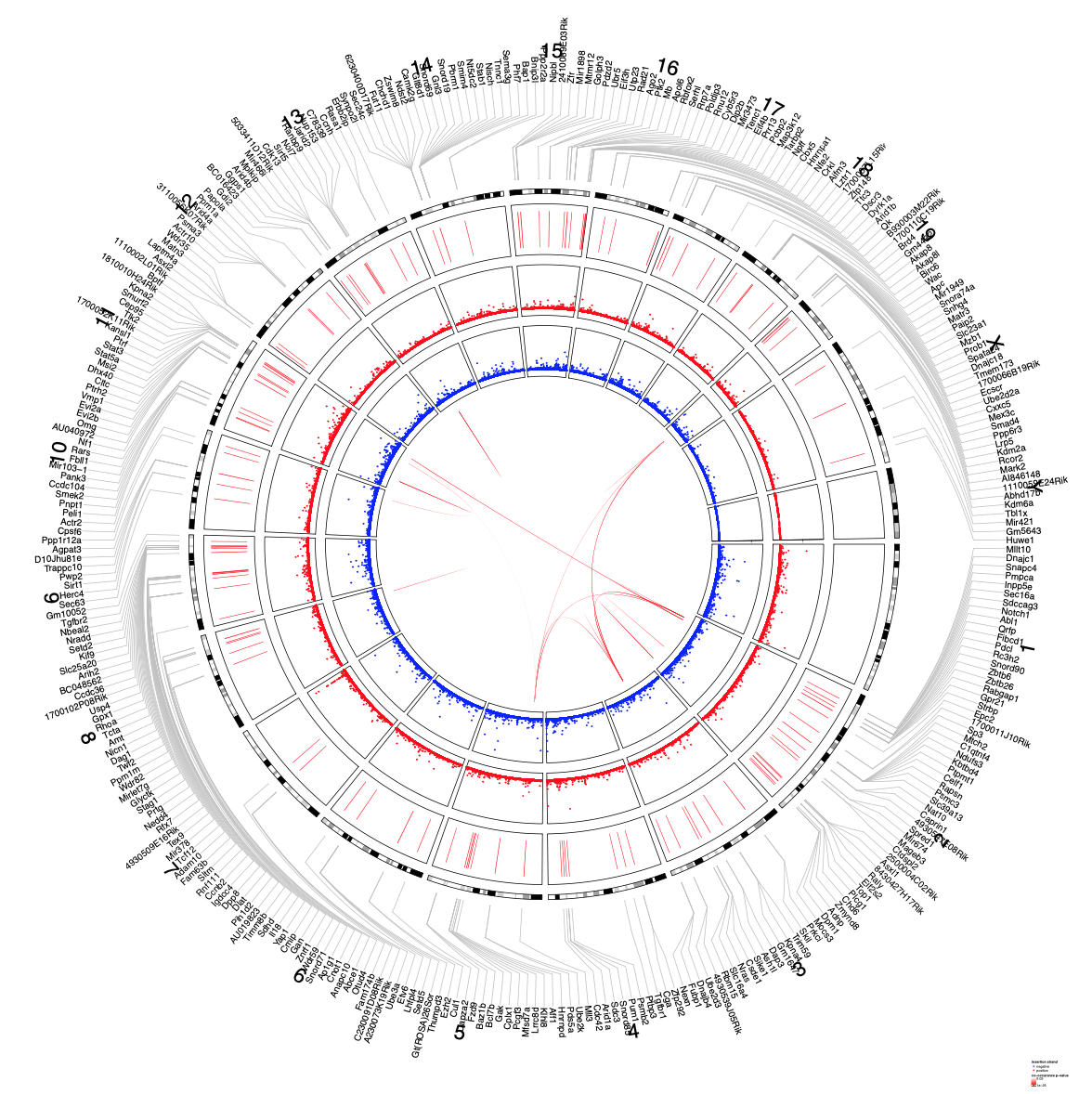 Question on how to change radius of internal circle · Issue #238 · jokergoo/circlize · GitHub