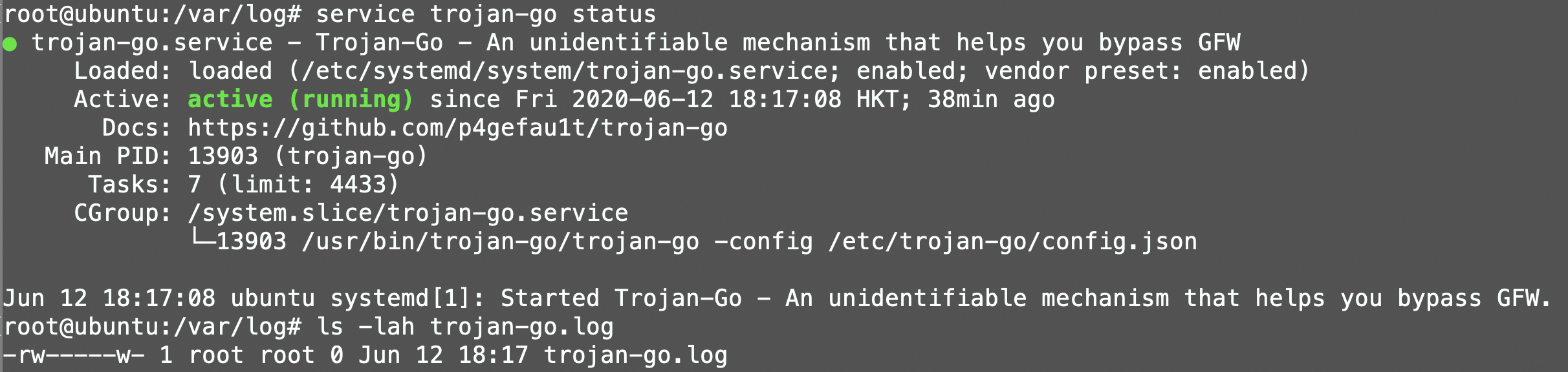 v0.7 bug report · Issue #90 · p4gefau1t/trojan-go · GitHub
