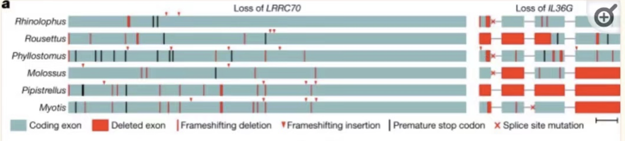 How could I use the loss_summ_data.tsv combined with inact_mut_data.txt to draw the figure like ...
