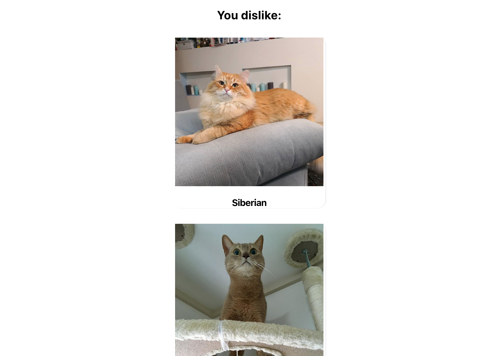 GitHub - EManifold/rate-my-breed