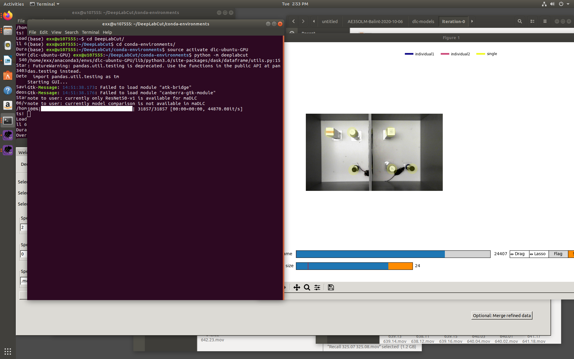 Unable to extract/refine tracklets, output h5 file contains all nan · Issue #949 · DeepLabCut ...