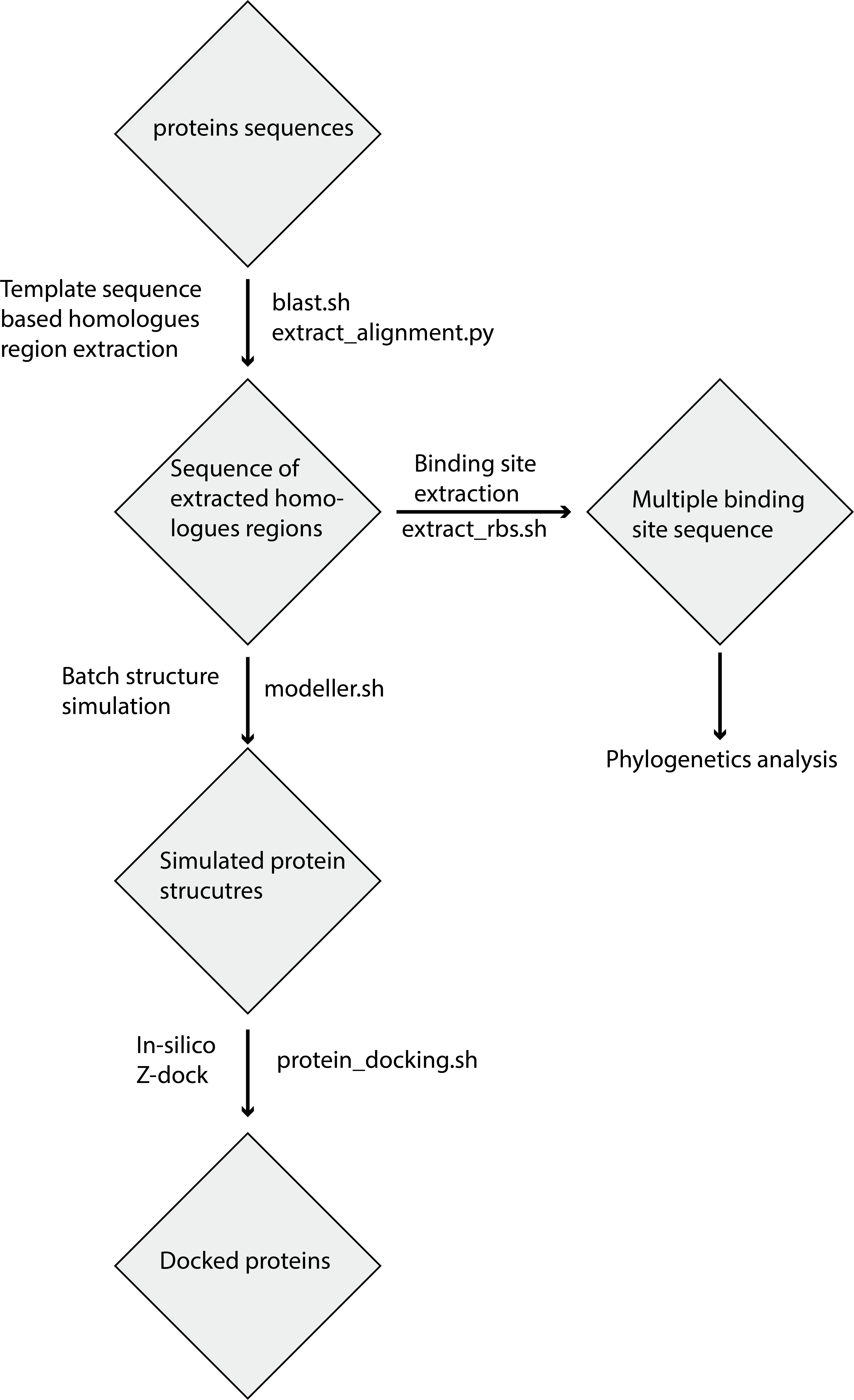 GitHub - MSN-06s/Protein_modelling_and_docking