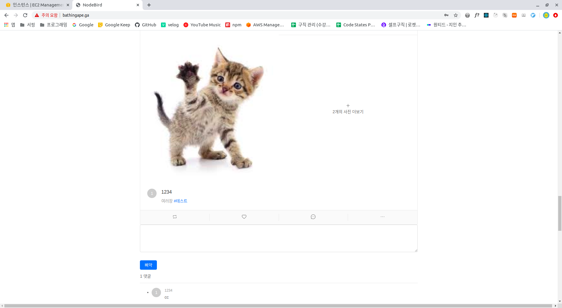 GitHub - parklego/Nodebird