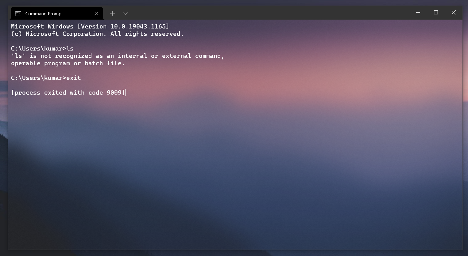 CMD Process Exited With Code 9009 Issue 11073 Microsoft terminal 