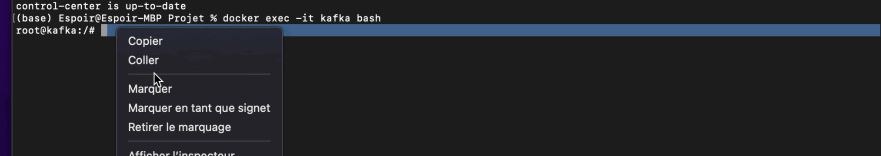 GitHub - asdjimespoir/Mini-Projet-Big-Data: Conception et déploiement d’un système e-health