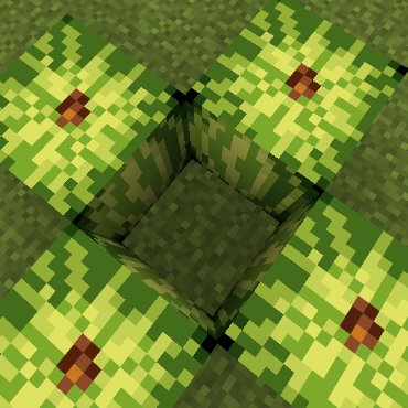 Melon side texture naming · Issue #89 · TerraFirmaCraft/TFC-Assets · GitHub