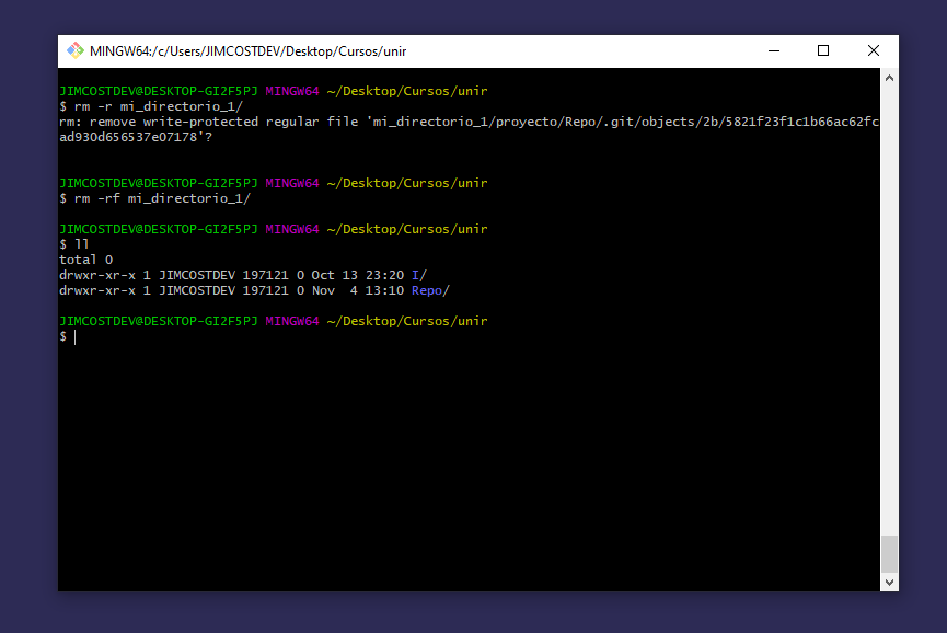 rm-rf · Issue #15 · JimcostDev/Terminal · GitHub
