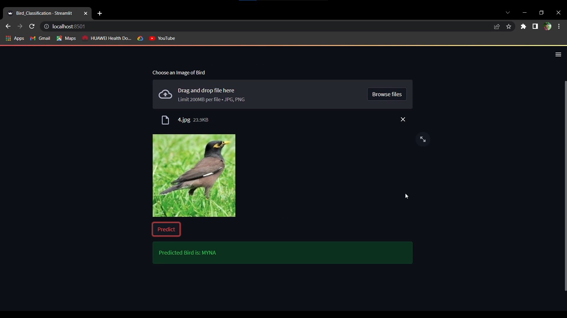 Github Arsxlanali Bird Classification