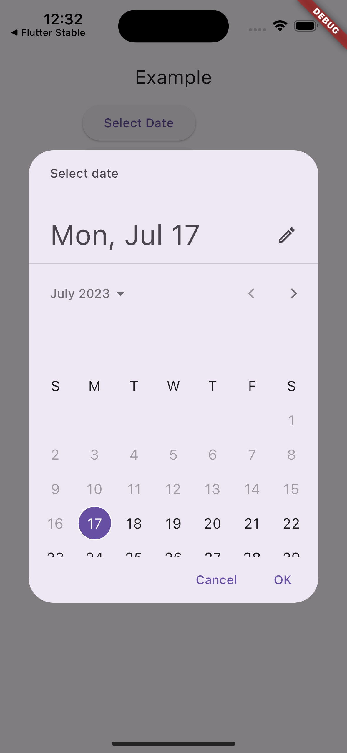 Flutter showGeneralDialog() renders date picker incorrectly · Issue #130691 · flutter/flutter ...