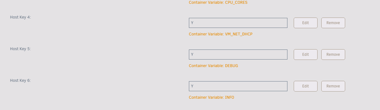 UnRaid - Cannot connect network · Issue #6 · vdsm/virtual-dsm · GitHub