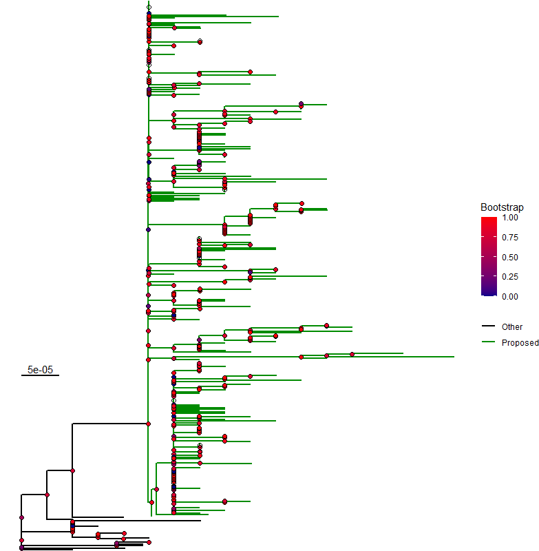 A New Potential lineage (T.1) specifically located in Campania, Italy ...