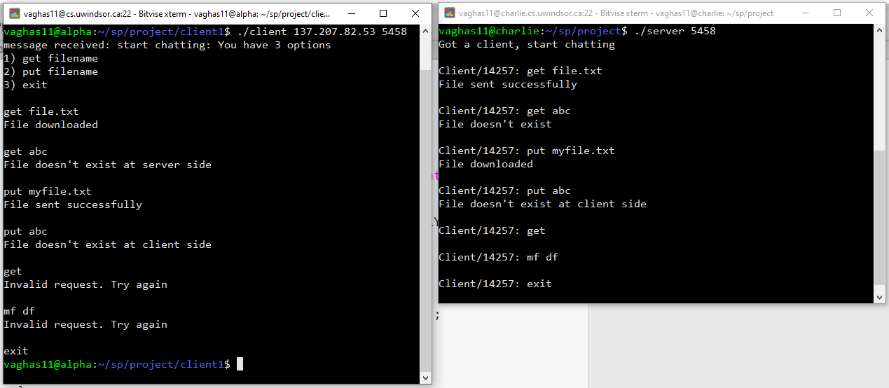 GitHub - bhavinv821/Client-Server-File-Sharing-System: System for file ...