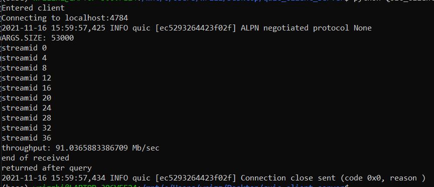 Server does not receive all the data sent on different streams from the client · Issue #238 ...