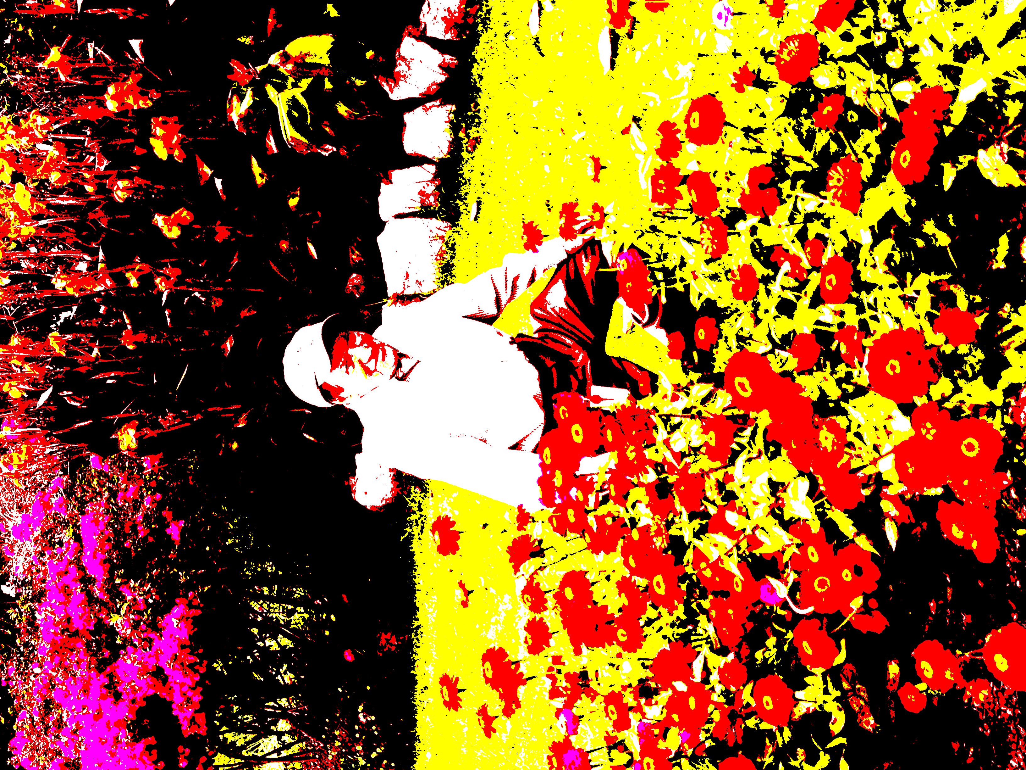 GitHub - FranciscoOrdonez/Compress-Images-with-k-means-cluster