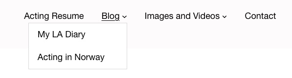 Navigation block: default spacing issue with sub menus · Issue #44714 · WordPress/gutenberg · GitHub