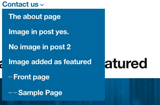Navigation block: default spacing issue with sub menus · Issue #44714 · WordPress/gutenberg · GitHub
