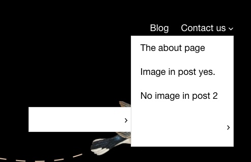 Navigation block: default spacing issue with sub menus · Issue #44714 · WordPress/gutenberg · GitHub