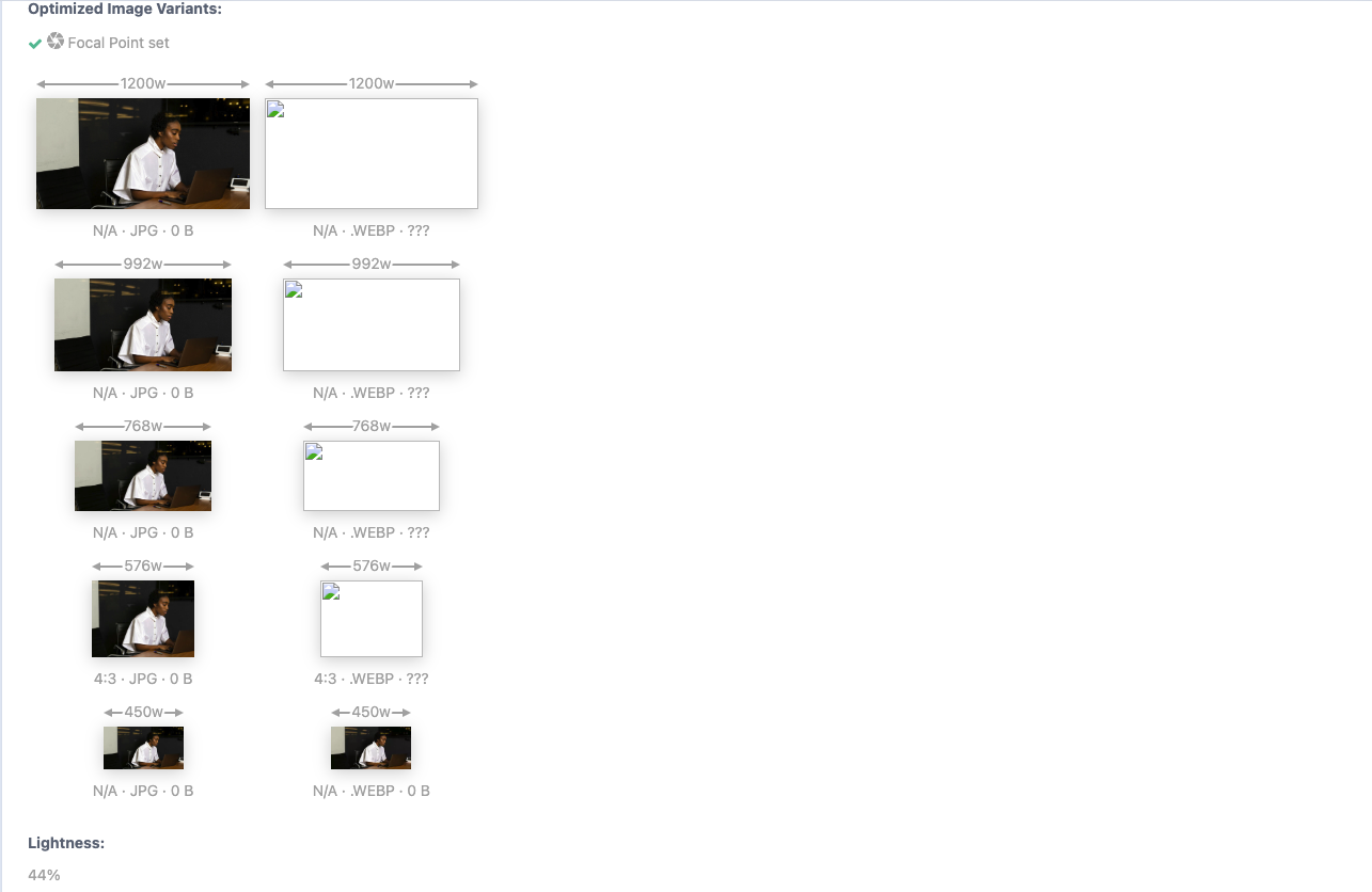 Is it possible to rescan all assets? · Issue #377 · nystudio107/craft-imageoptimize · GitHub