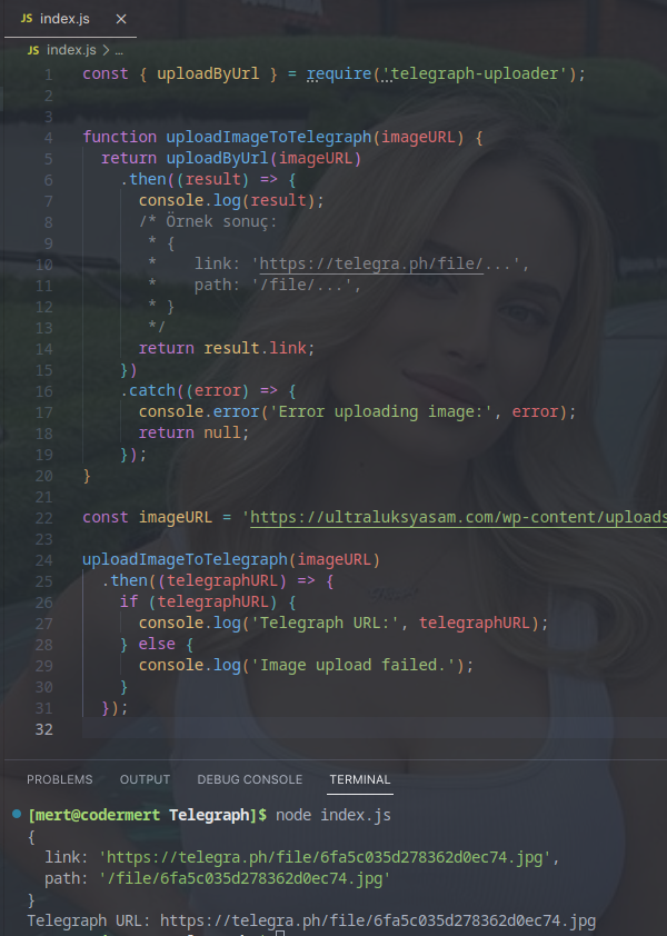 GitHub - codermert/TelegraphUploader