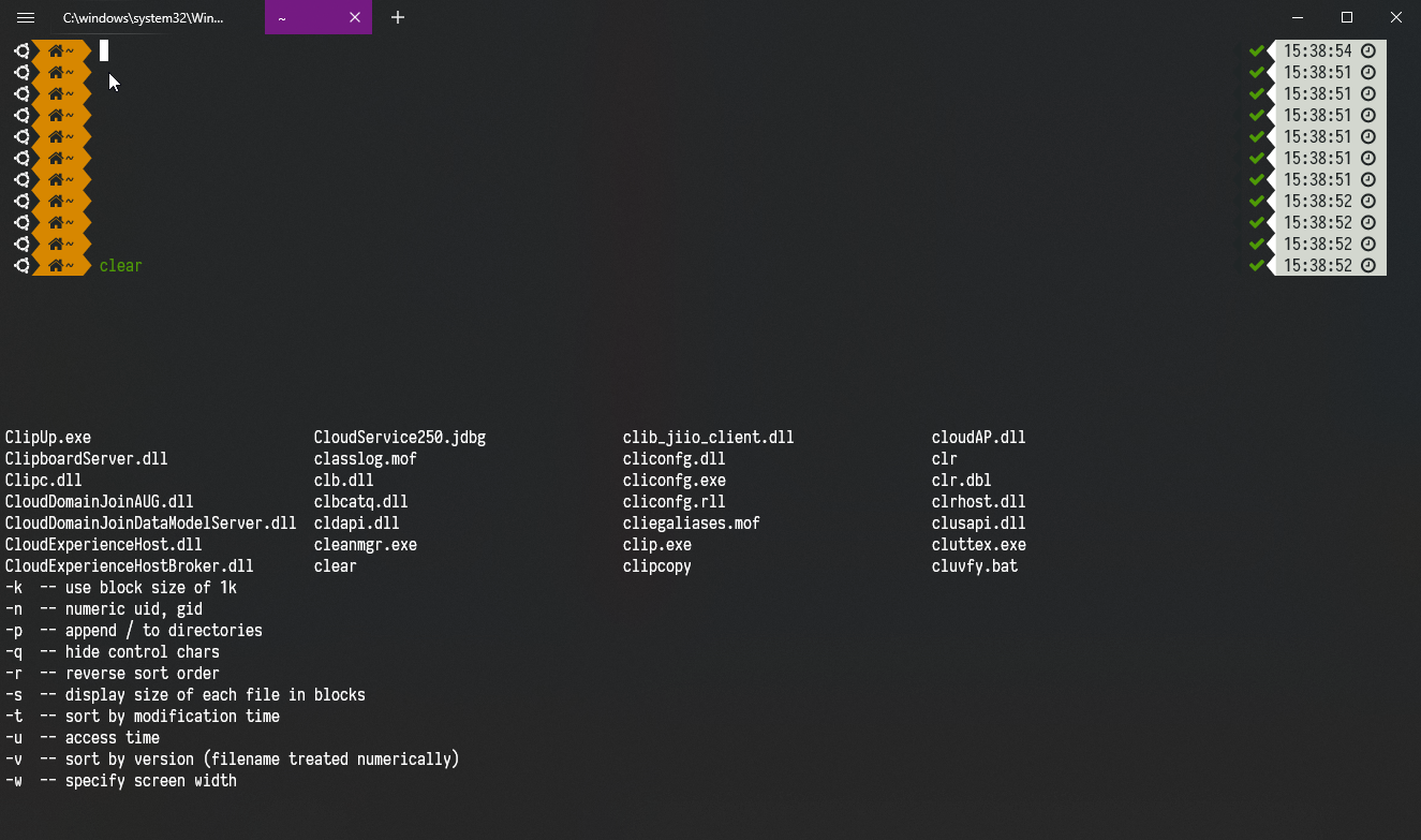 Strange behaviour · Issue #471 · felixse/FluentTerminal · GitHub