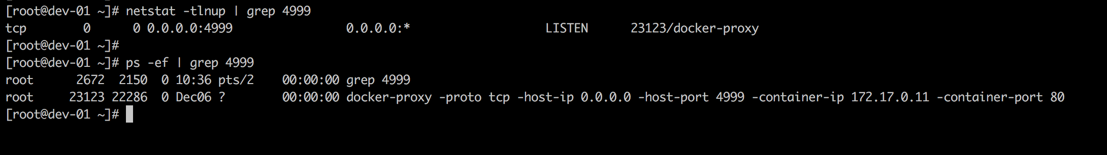 使用docker自动安装，访问502 · Issue #407 · star7th/showdoc · GitHub