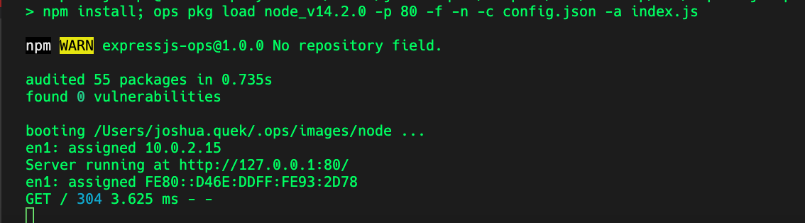 Able to run locally, but not on AWS · Issue #1172 · nanovms/ops · GitHub