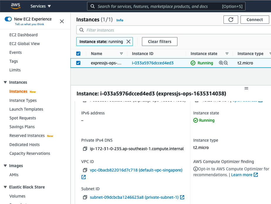 AWS Deployment - How to specify Subnet? · Issue #1173 · nanovms/ops · GitHub