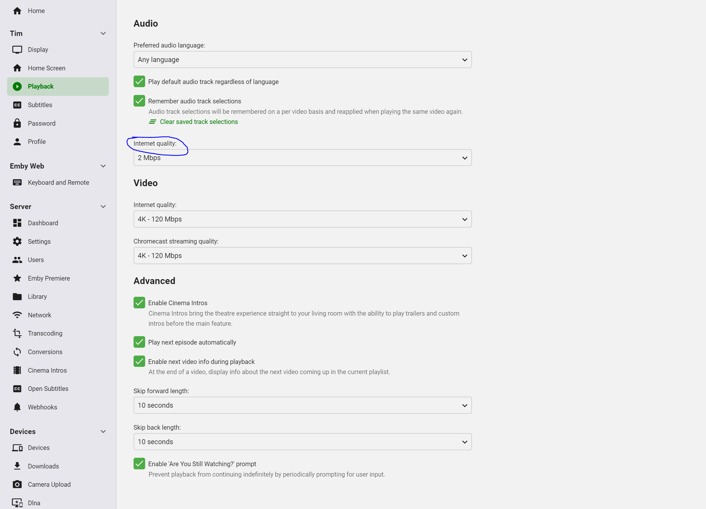 Web Browser Playback Menu Incorrect Menu Name Issue 3704 