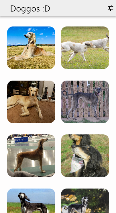 GitHub - guigs4/the_dog_api