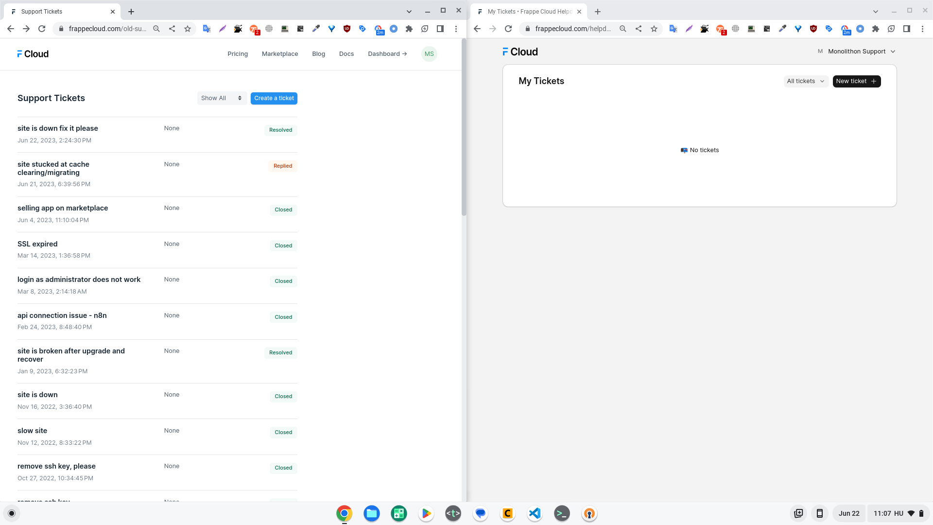 Portal not displaying tickets · Issue #1281 · frappe/helpdesk · GitHub