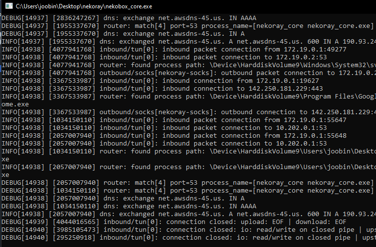 hide loging of nekoray_core.exe cmd window · Issue #266 · MatsuriDayo/nekoray · GitHub