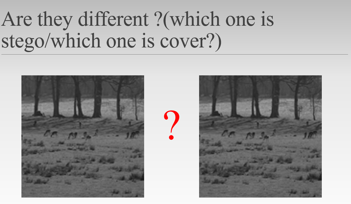 GitHub - behnoudshafizadeh/Preliminary-StegAnalysis: StegAnalysis Using CNN model