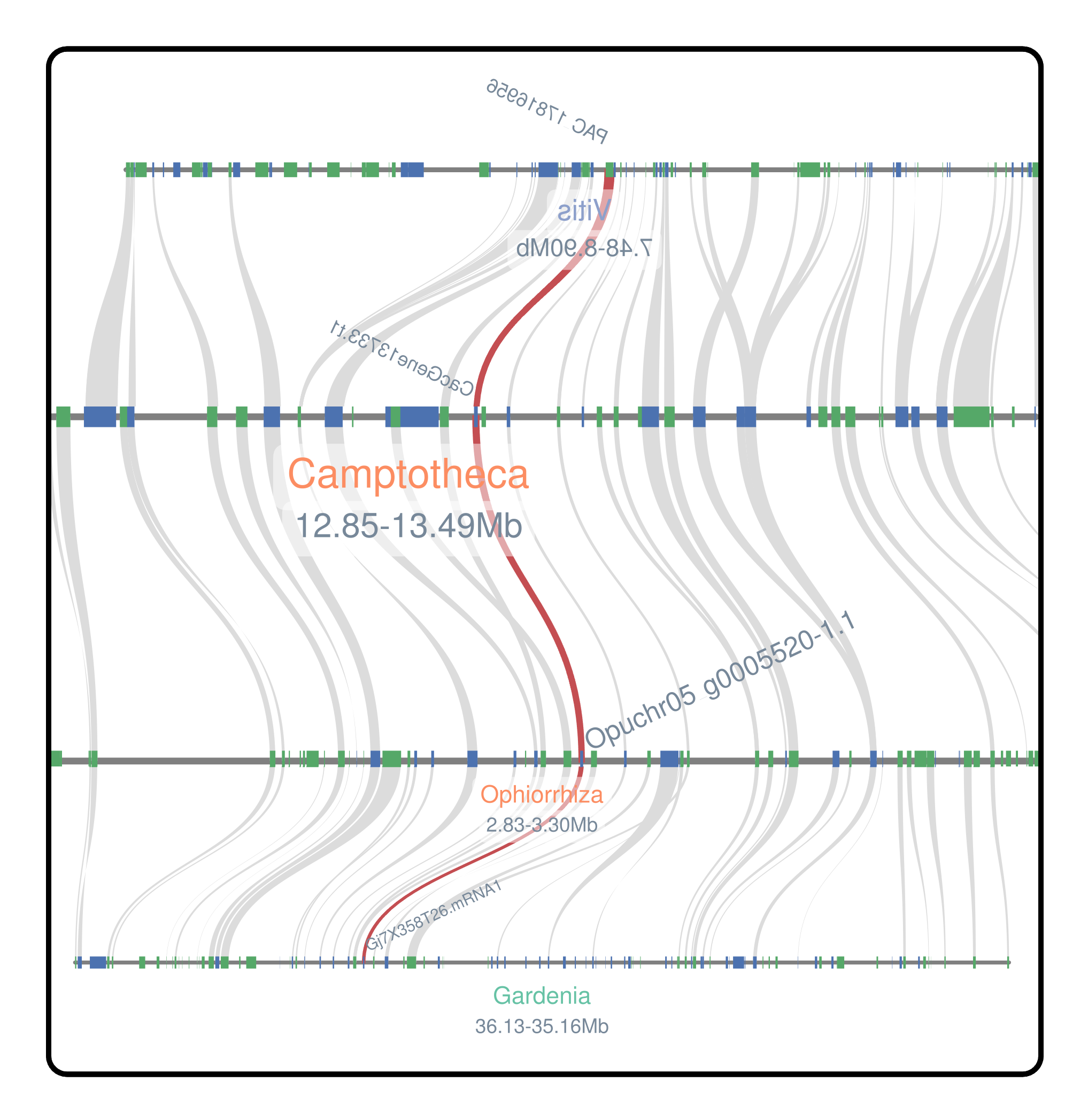 MCScan microsynteny comparisons between multiple species · Issue #506 ...
