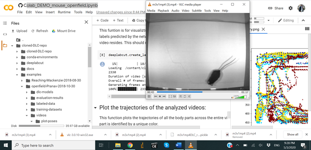 Unlabeled Demo video · Issue #674 · DeepLabCut/DeepLabCut · GitHub