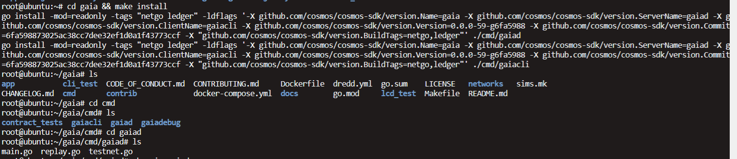 can't not get the gaiad or gaiacli · Issue #123 · cosmos/gaia · GitHub