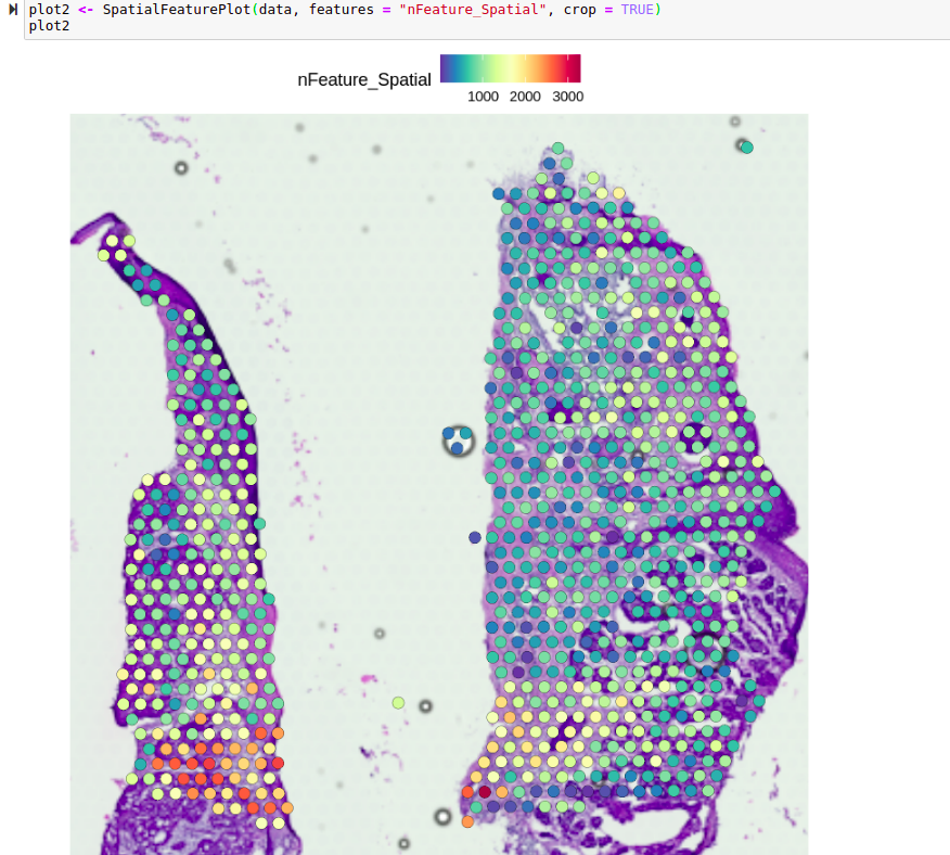 cropping issue with SpatialFeaturePlot · Issue #2772 · satijalab/seurat ...