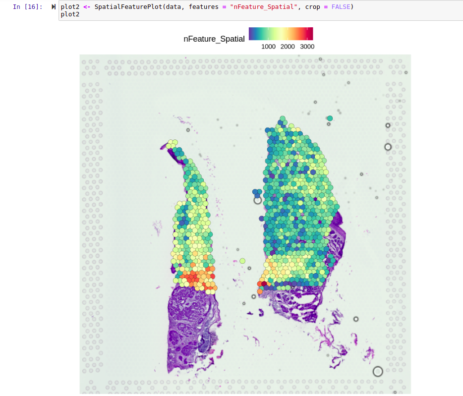 cropping issue with SpatialFeaturePlot · Issue #2772 · satijalab/seurat ...