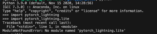 Pytorch Lightning Lite · Issue 63 · Shanice L Gdrnpp Bop2022 · Github